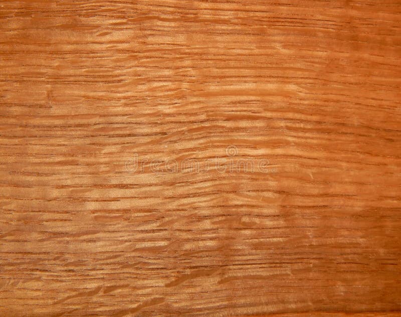 Wood Texture. Oak Tree Sheet Surface Stock Photo - Image of panel ...