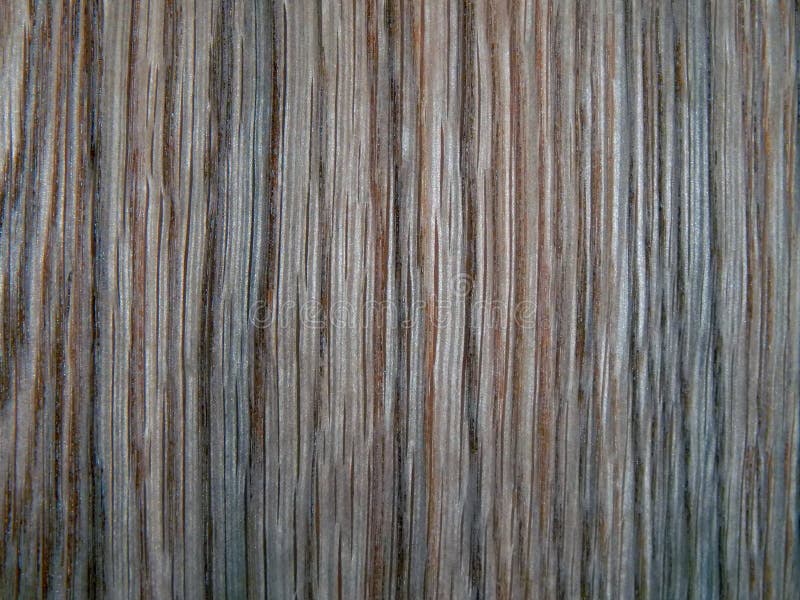 Wood Texture. Oak Tree Sheet Surface Stock Photo - Image of nature ...