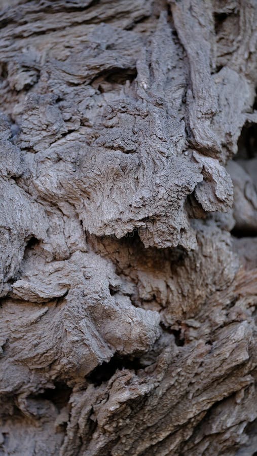 Wood Texture. Objects from the Boards Stock Image - Image of timber ...