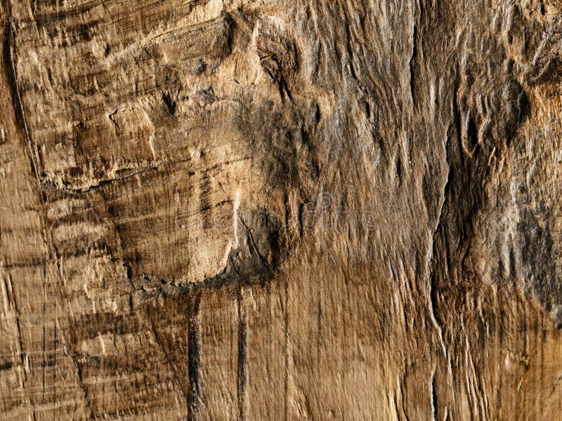 Wood Texture of Old Barn Oak with Deep Grooves and a Rough, Uneven ...