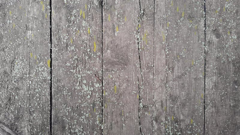 Wood texture old boards stock image. Image of decorative - 102902331