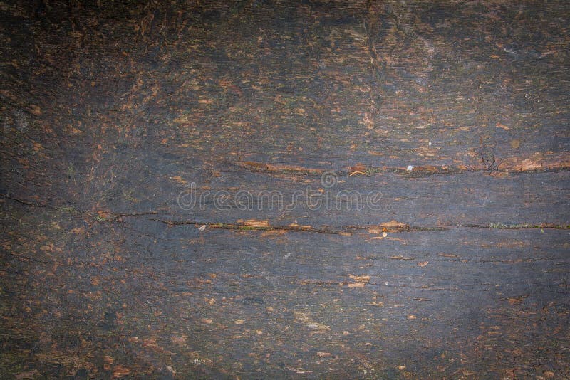 3,424 Greasy Texture Stock Photos - Free & Royalty-Free Stock Photos ...