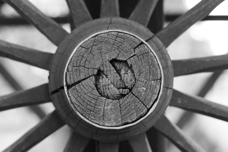Wooden wheel stock photo. Image of background, grain - 31593918