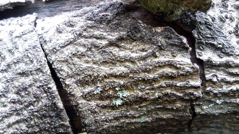 Wood Texture Pattern Rusty Grunge Stock Image - Image of furniture ...