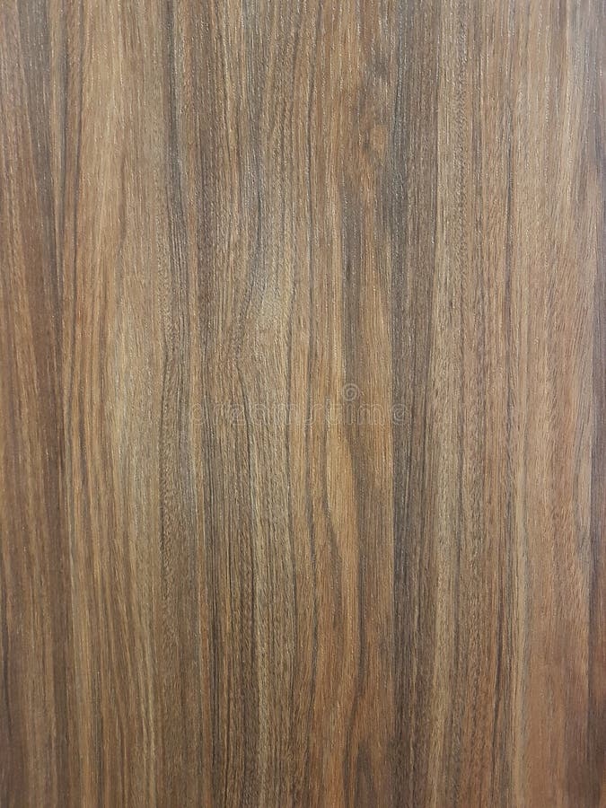 Wood texture pine or oak stock image. Image of nature - 124305199