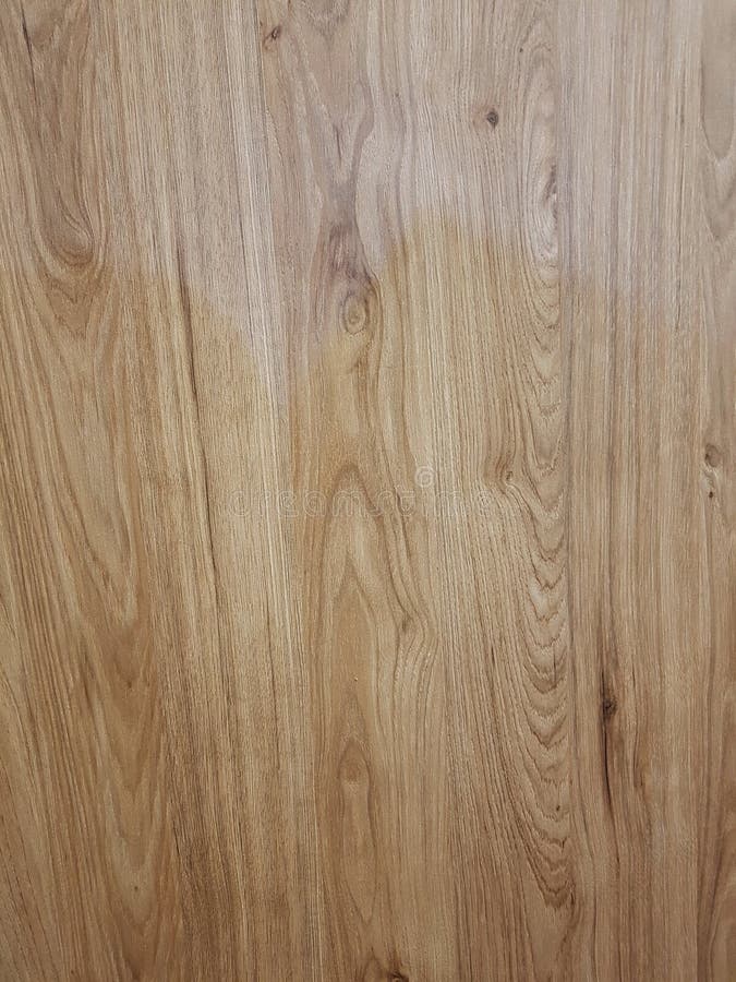 Wood texture pine or oak stock photo. Image of pattern - 124305226