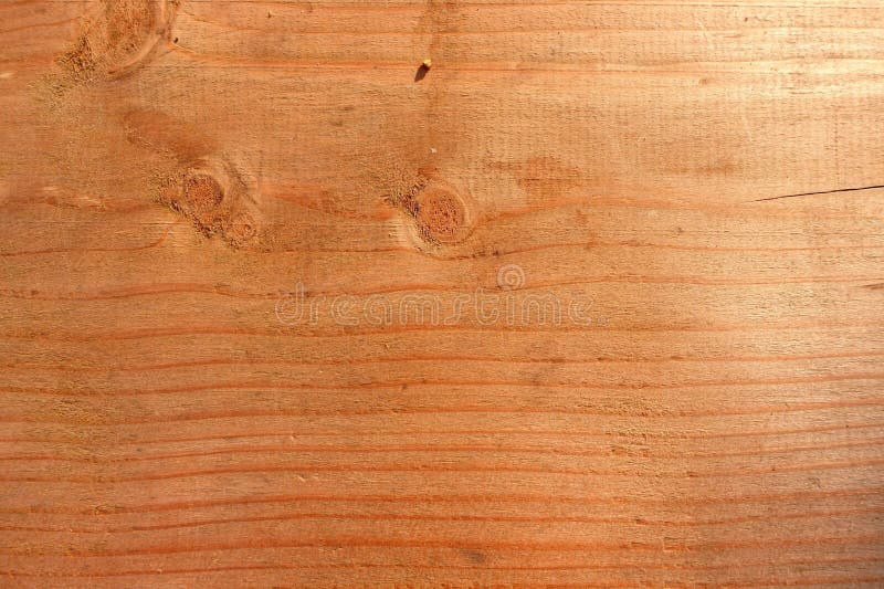 Wood texture, pine tree stock image. Image of carving - 312581955