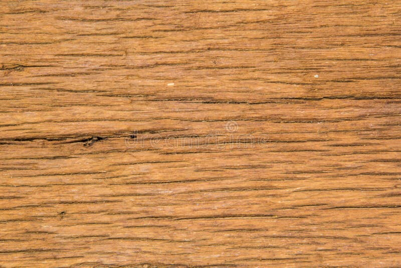 Wood texture stock image. Image of wood, plate, texture - 76931423