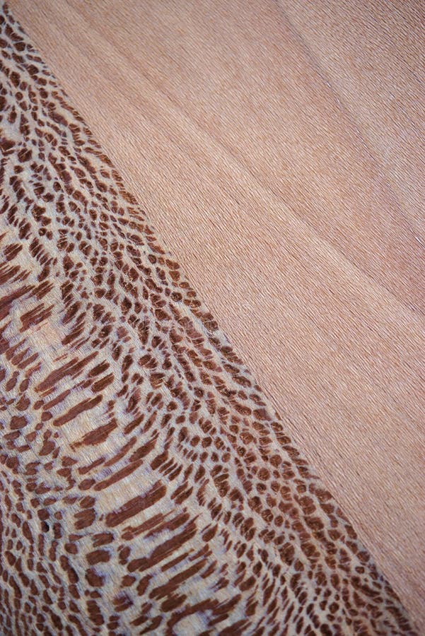 Wood texture with ribs stock image. Image of grain, rough - 142980847