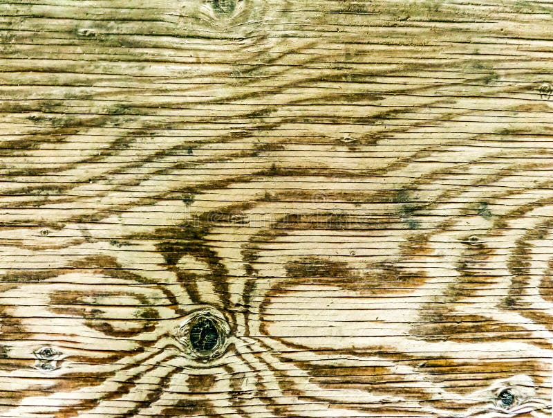 Wood Texture Right, One Part in Three of Wood Texture Panorama Stock ...
