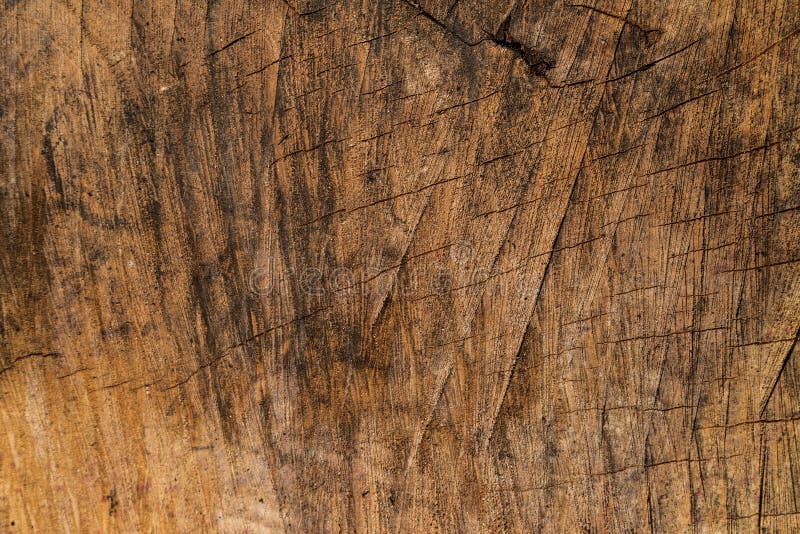 Wood Texture of Rip-cut Log Stock Image - Image of texture, material ...