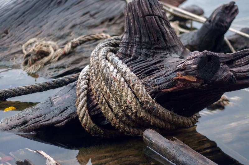 753 Raft Texture Stock Photos - Free & Royalty-Free Stock Photos from ...