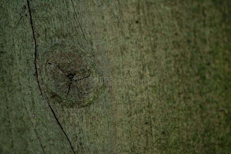 Wood Texture with a Scar and a Circular Hole on it Stock Image - Image ...
