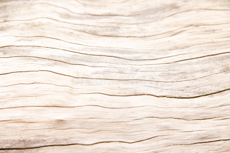 Wood Texture Seamless Line Cracked Patterns Abstract Horizontal Natural ...