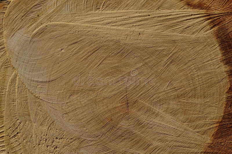Wood, Texture, Wood Stain, Grass Family Picture. Image: 114790759