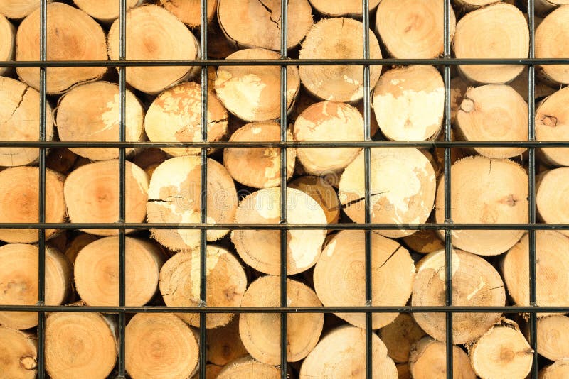 Wood Texture Surface with World Map Stock Image - Image of hardwood ...