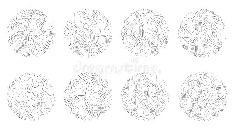 Wood Texture with Topography Lines. Organic Ripple Wavy Patterns. Tree ...