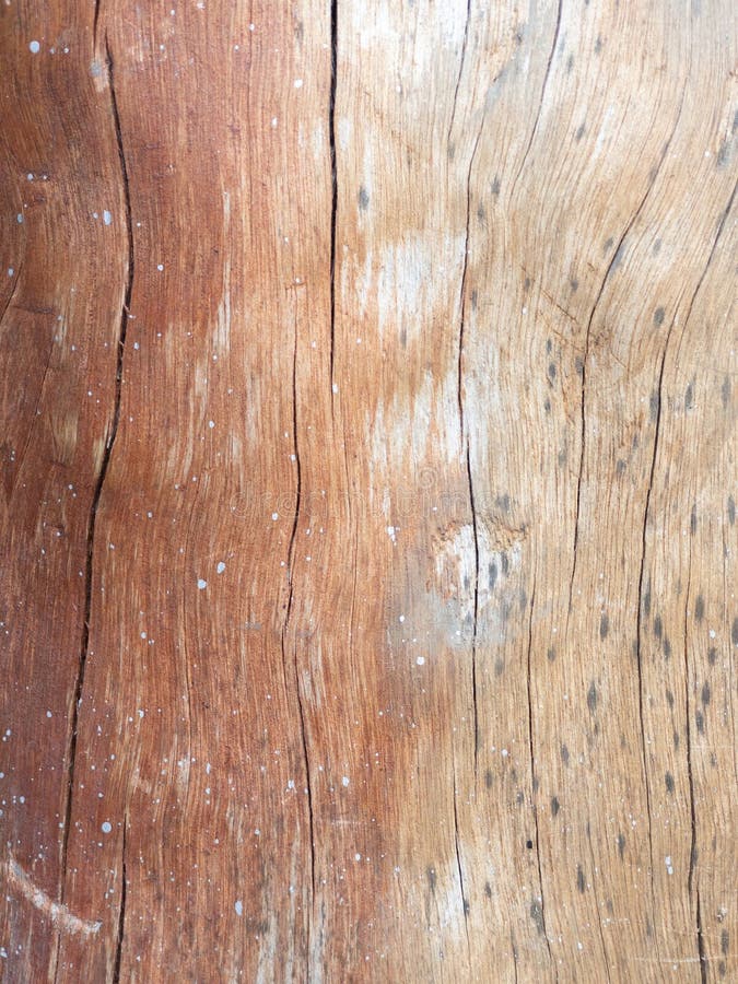 Wood Texture - Tree - Wood Plank Stock Image - Image of floor, walnut ...