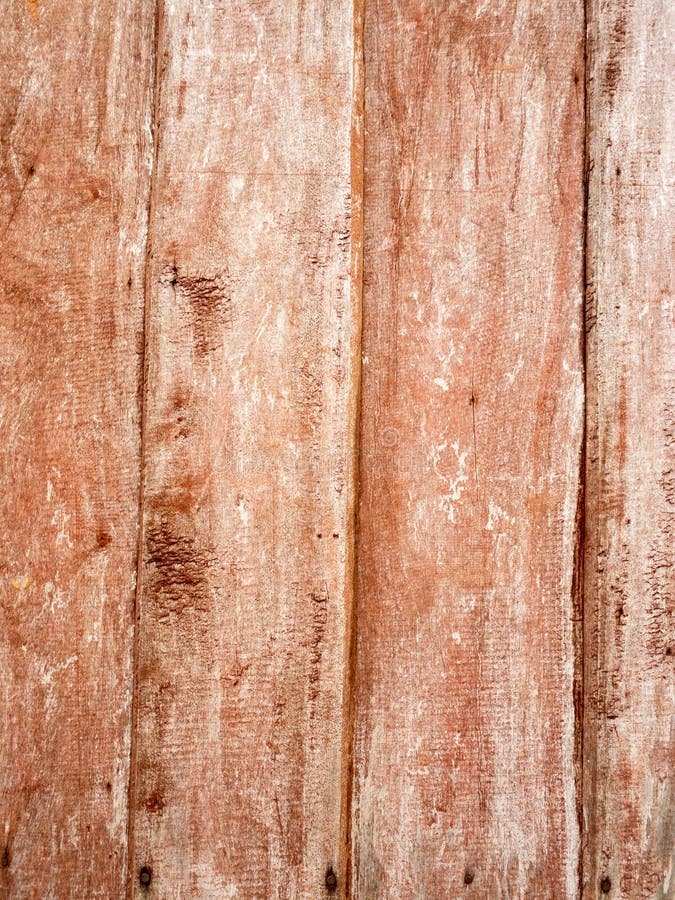 Wood Texture - Tree - Wood Plank Stock Image - Image of wood, plank ...