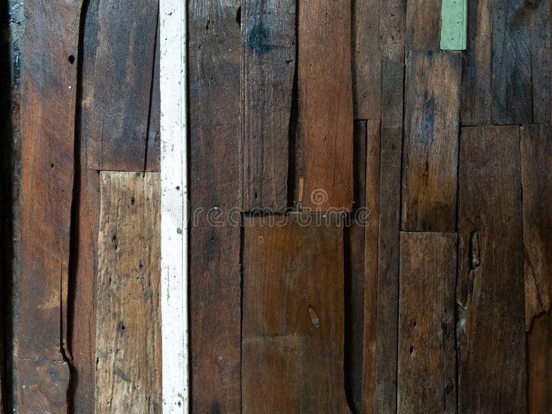 Wood Texture - Tree - Wood Plank Stock Photo - Image of wooden, timber ...