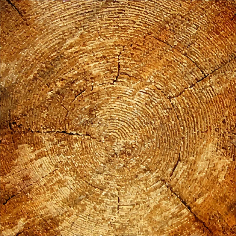 Yellow Tree Rings Stock Illustrations – 232 Yellow Tree Rings Stock ...