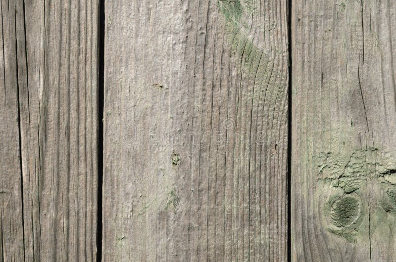 Wood Texture, Vertical Lines Stock Photo - Image of backdrop, grained ...