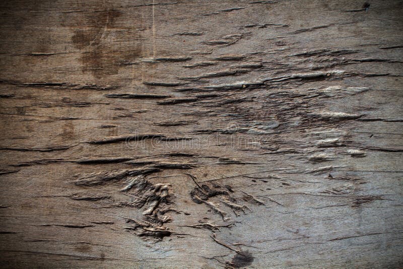 Wood texture vignette stock photo. Image of design, texture - 70770296