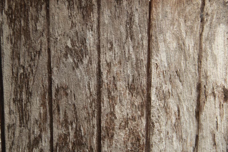 536 Wood Look Border Stock Photos - Free & Royalty-Free Stock Photos ...