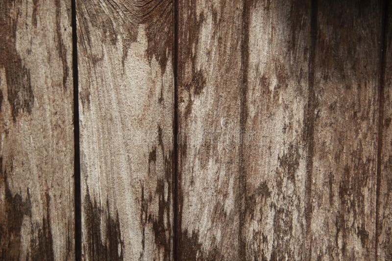 536 Wood Look Border Stock Photos - Free & Royalty-Free Stock Photos ...