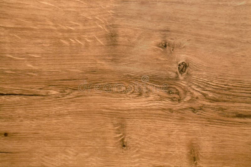 Wood texture stock photo. Image of stain, veneer, tree - 76750118