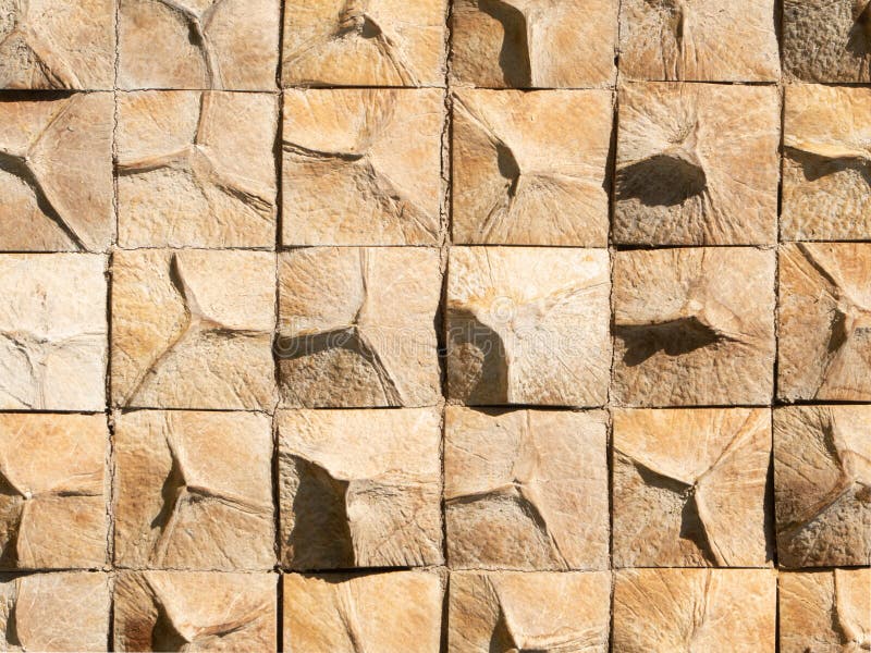 Wooden Panel Made from Bottom of Coconut Shell Stock Photo - Image of ...