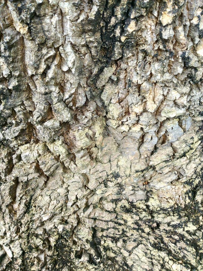 Indent Shapes Stock Photos - Free & Royalty-Free Stock Photos from ...