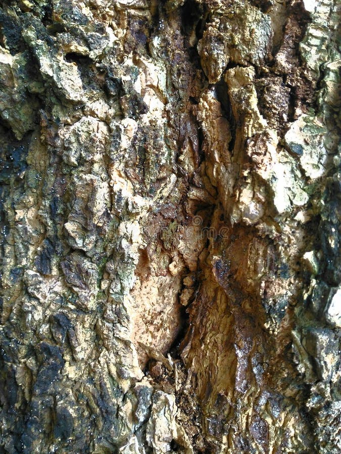 Indent Shapes Stock Photos - Free & Royalty-Free Stock Photos from ...