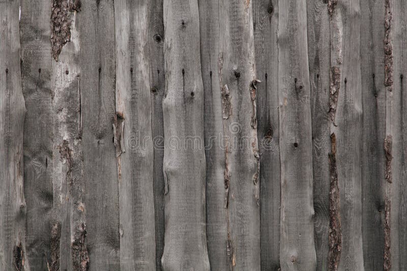Wood textures stock image. Image of russia, background - 94619861