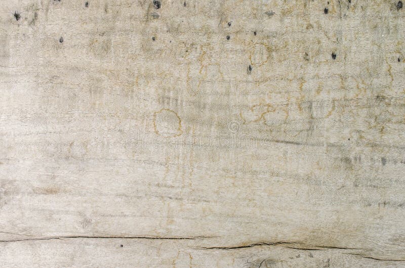 Wood textures stock photo. Image of hardwood, grain, construction ...