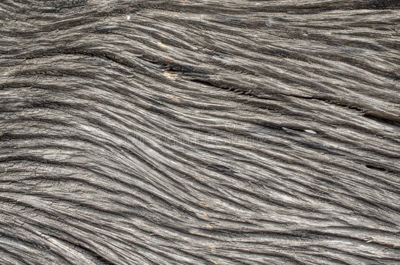 Wood textures stock photo. Image of decorative, backdrop - 45448838