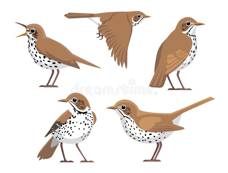 Bird Various Poses Cartoon Vector Character Stock Illustrations – 508 ...
