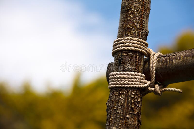 Wood tied for fence stock photo. Image of branches, wrapped - 19266346