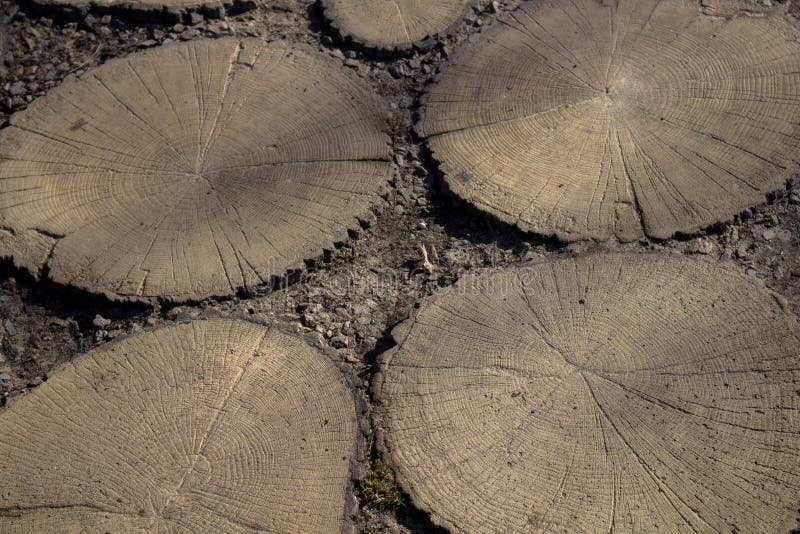 325 Cross Section Tile Stock Photos - Free & Royalty-Free Stock Photos ...