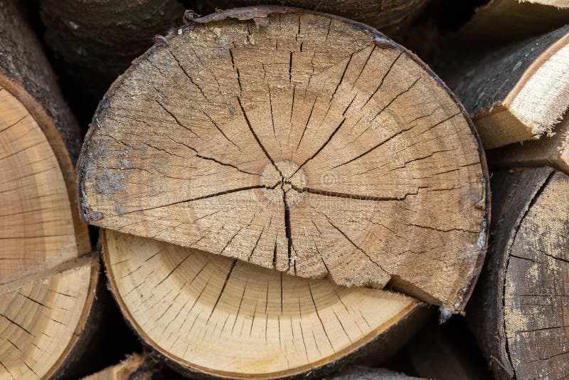 Wood Timber Construction Material for Background and Texture. Close Up ...