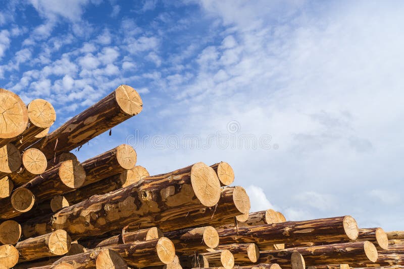 Wood Timber Construction Material for Background and Texture.. Timber ...