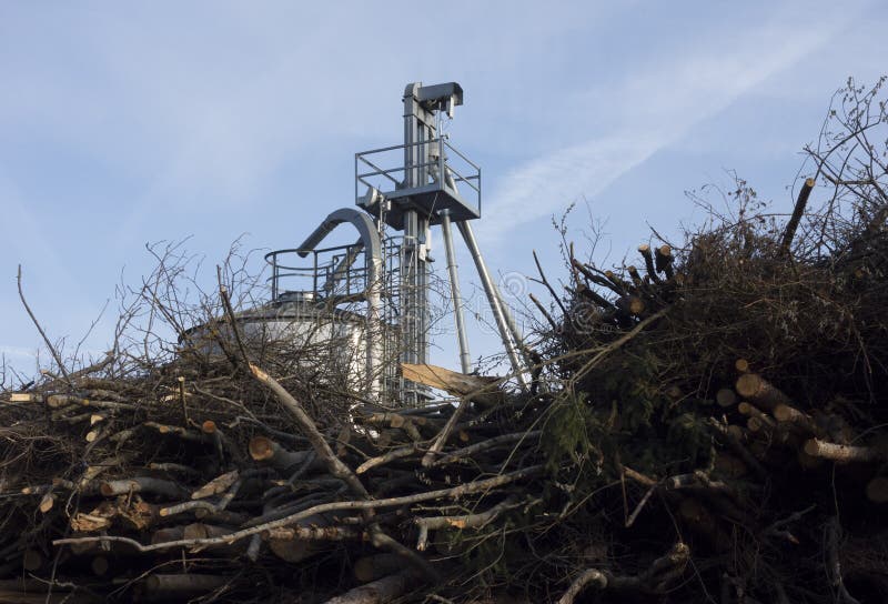 The Wood or Timber Industry Stock Photo - Image of area, land: 216157798