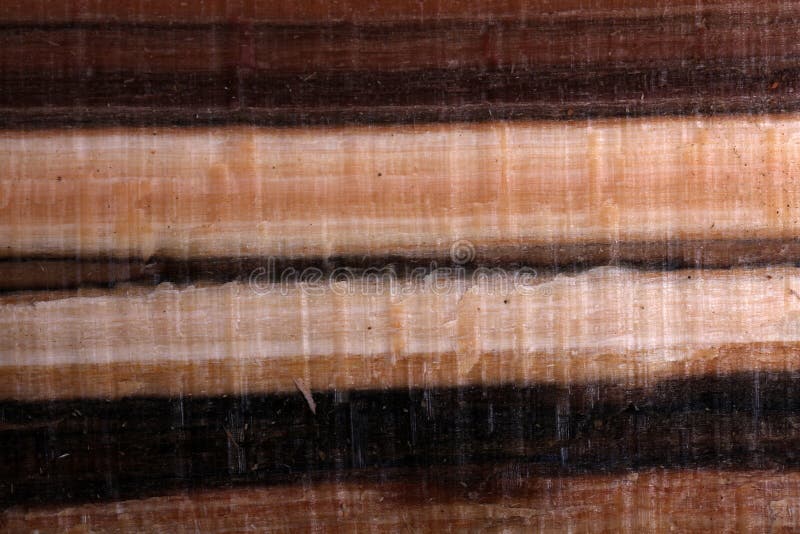 Wood Timber Tree Background Template Stock Photo - Image of pattern ...