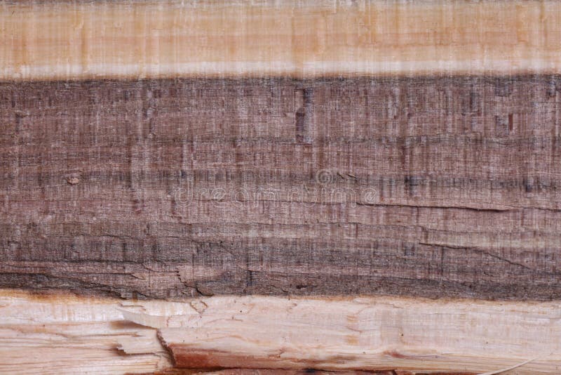 Wood Timber Tree Background Template Stock Photo - Image of material ...