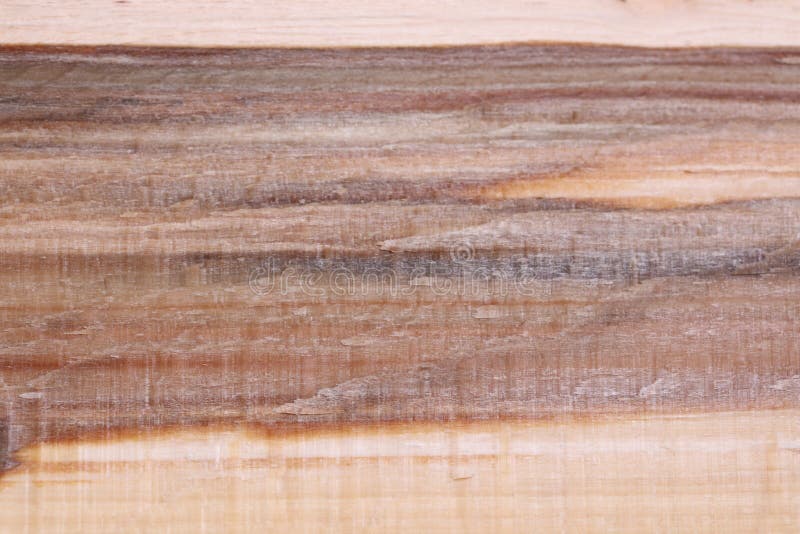 Wood Timber Tree Background Template Stock Image - Image of retro ...