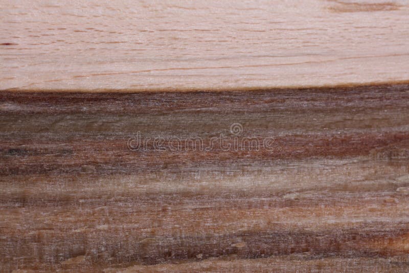 Wood Timber Tree Background Template Stock Photo - Image of floor ...