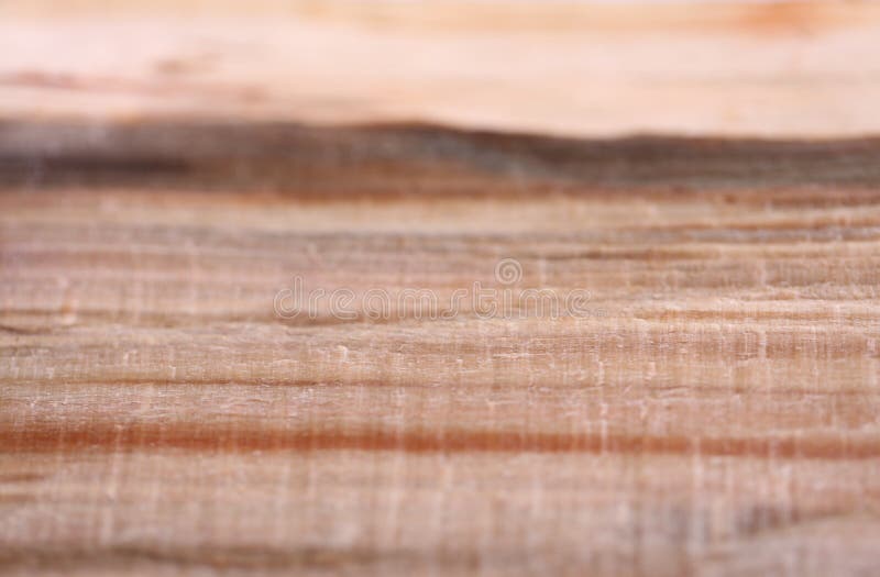 Wood Timber Tree Background Template Stock Image - Image of element ...