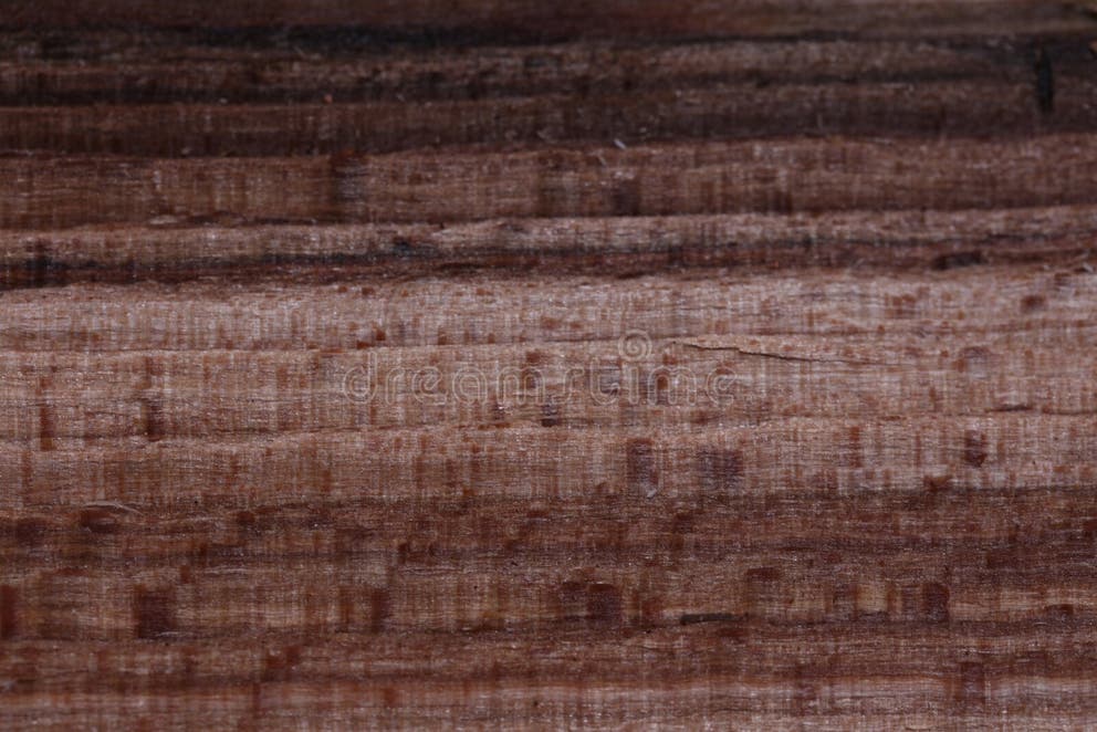 Wood Timber Tree Background Template Stock Image - Image of grunge ...