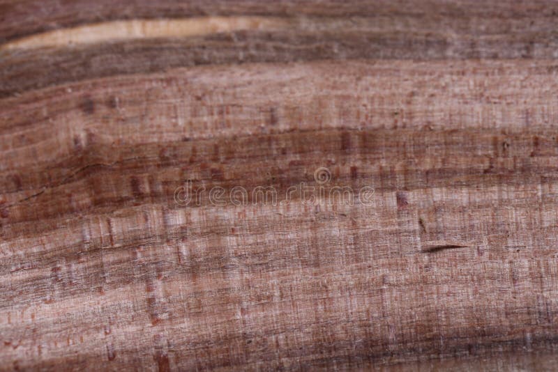 Wood Timber Tree Background Template Stock Photo - Image of material ...