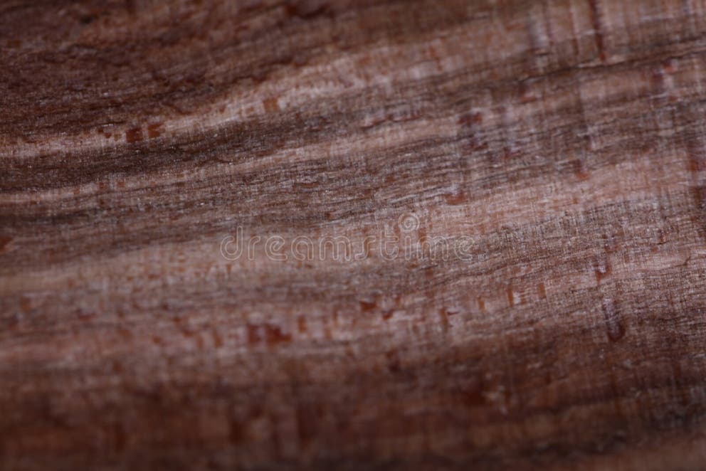 Wood Timber Tree Background Template Stock Image - Image of boards ...